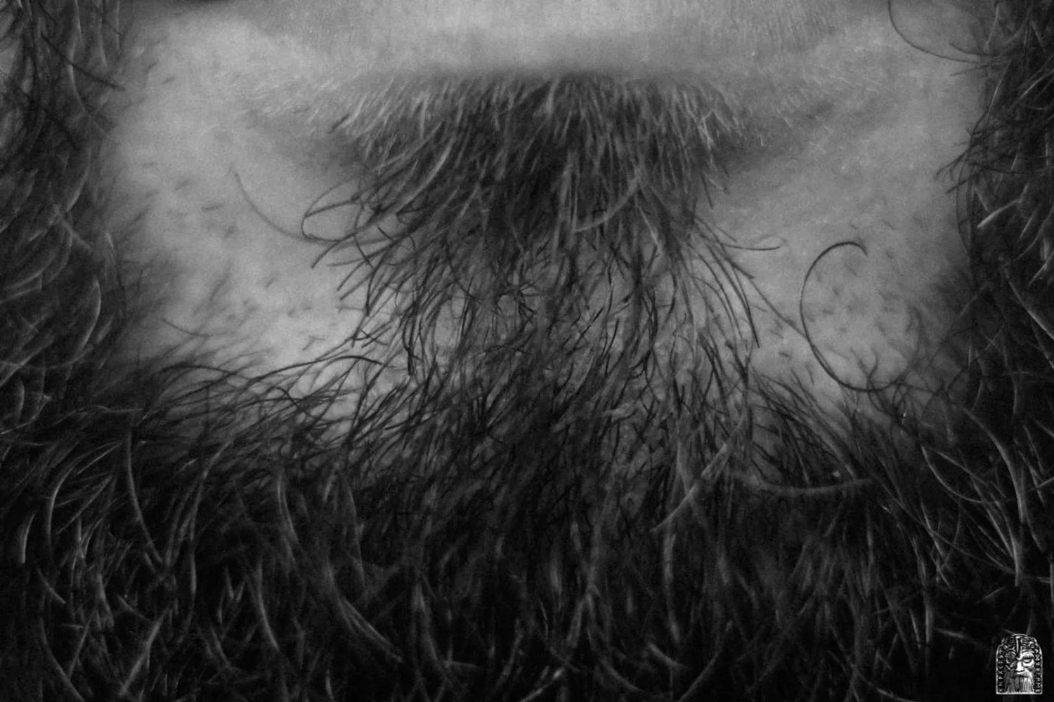 How to Tame a Wild Beard